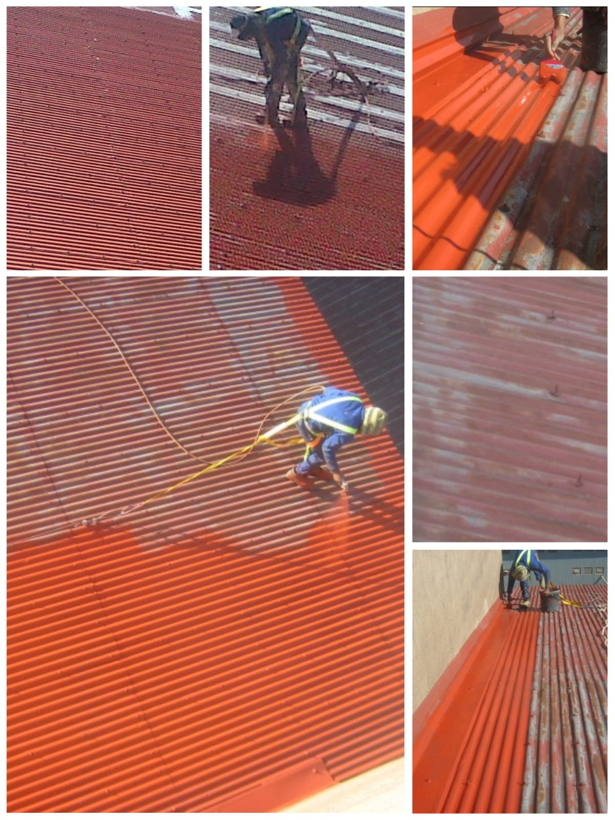 Professional Painting: Epoxy & Latex